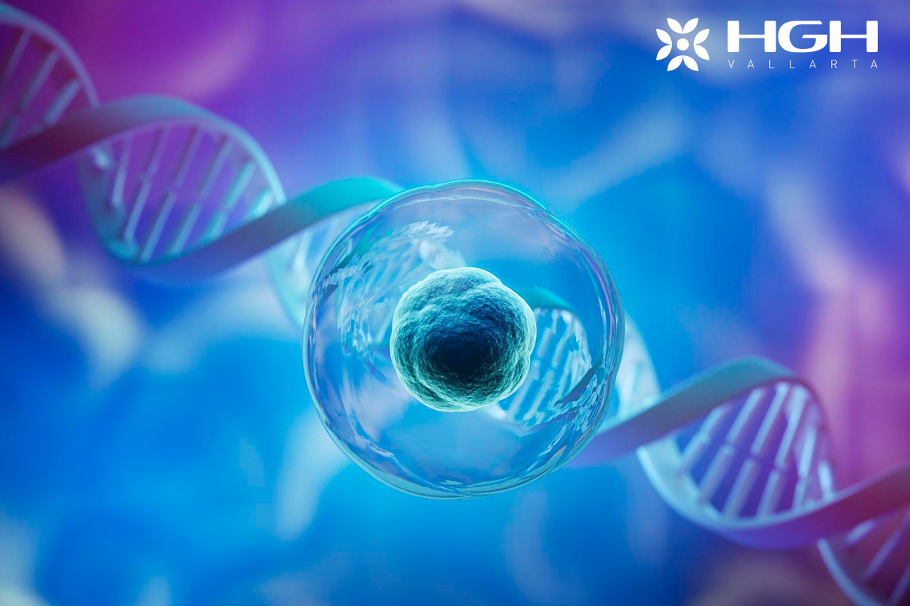 Reap The Benefits Of Stem Cell Transplant In Mexico 2025